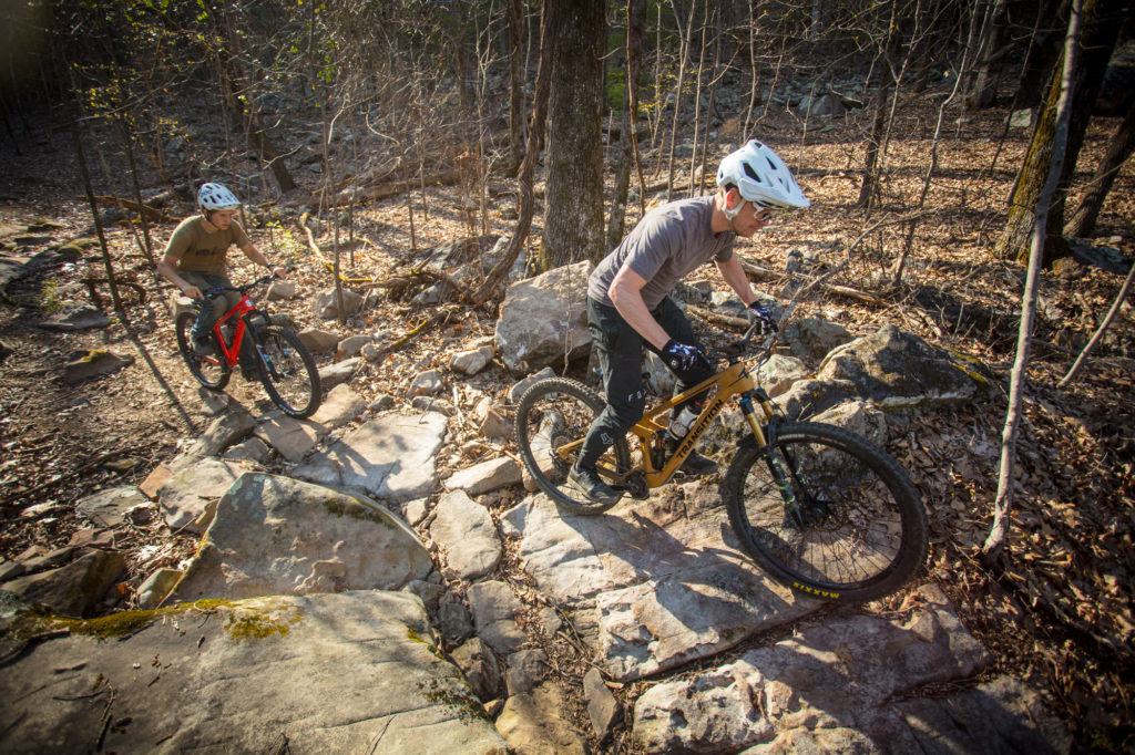 Walden’s Ridge Park (Part 2): Almost Out of the Woods - Trails are ...